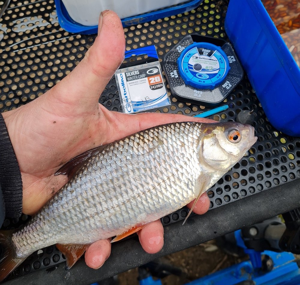 COMPETITION MICRO SHOT DISPENSER | Garbolino UK